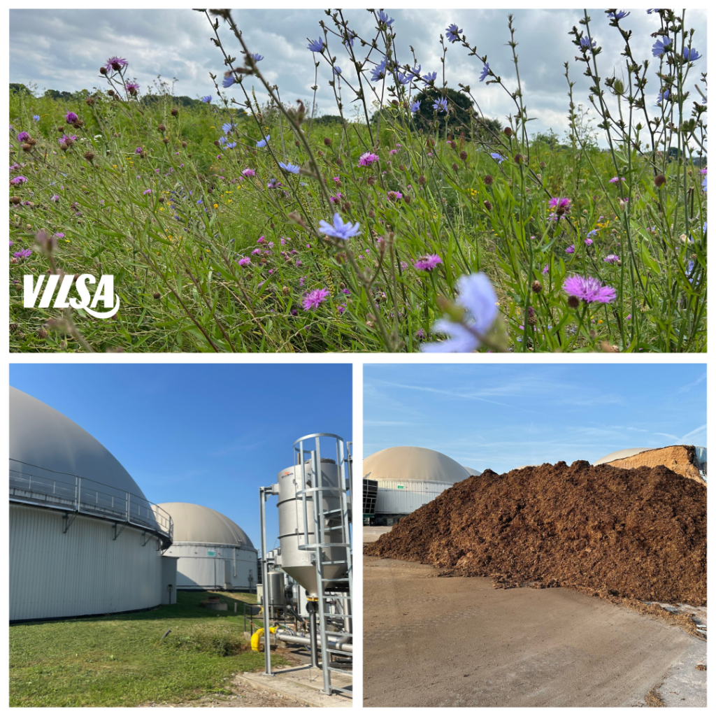 Lokales Biogas für das VILSA-Blockheizkraftwerk Schritt für Schritt ...