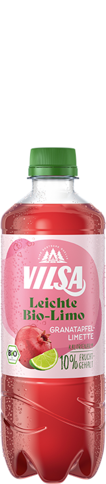 VILSA Mineralwasser classic mit Kohlensäure | VILSA