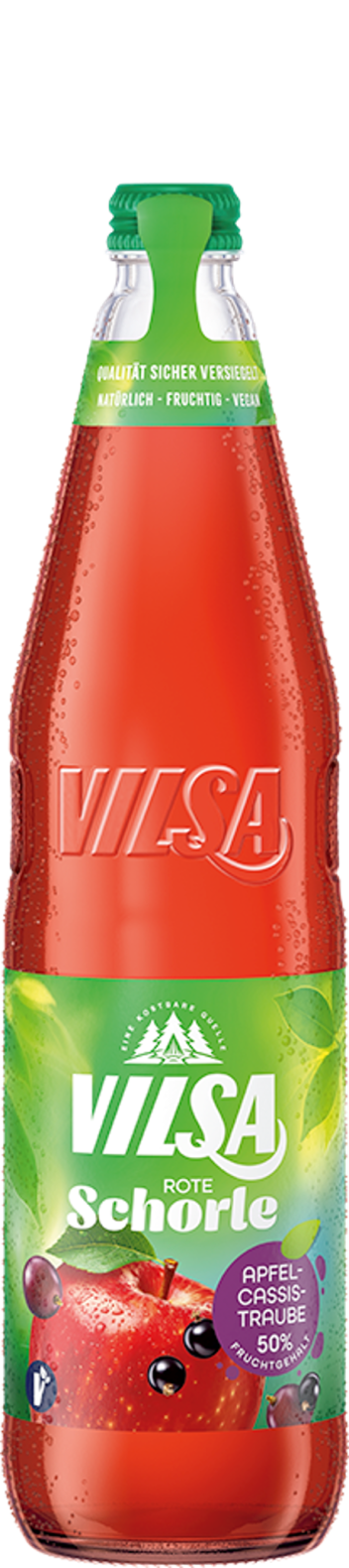 VILSA Mineralwasser classic mit Kohlensäure | VILSA