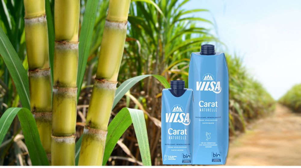 VILSA Mineralwasser classic mit Kohlensäure | VILSA