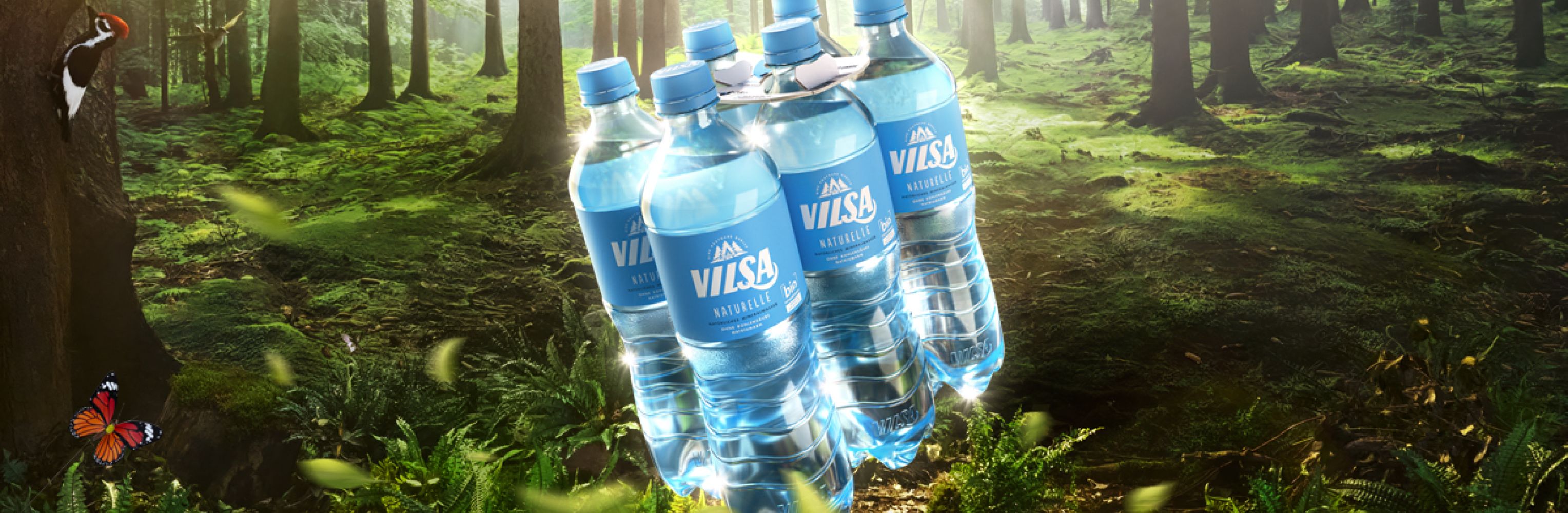 Unser Unternehmen: ein Überblick für dich | VILSA