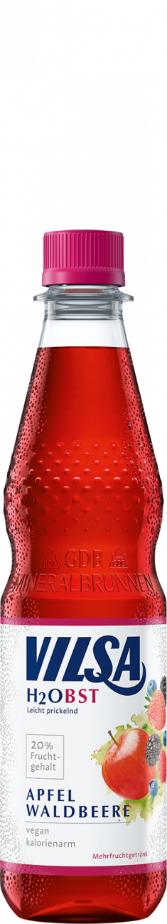 VILSA H2Obst Apfel-Waldbeere: leicht & lecker | VILSA