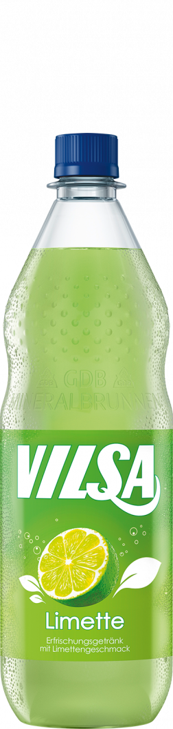 VILSA Limonaden ohne künstliche Aromen | VILSA