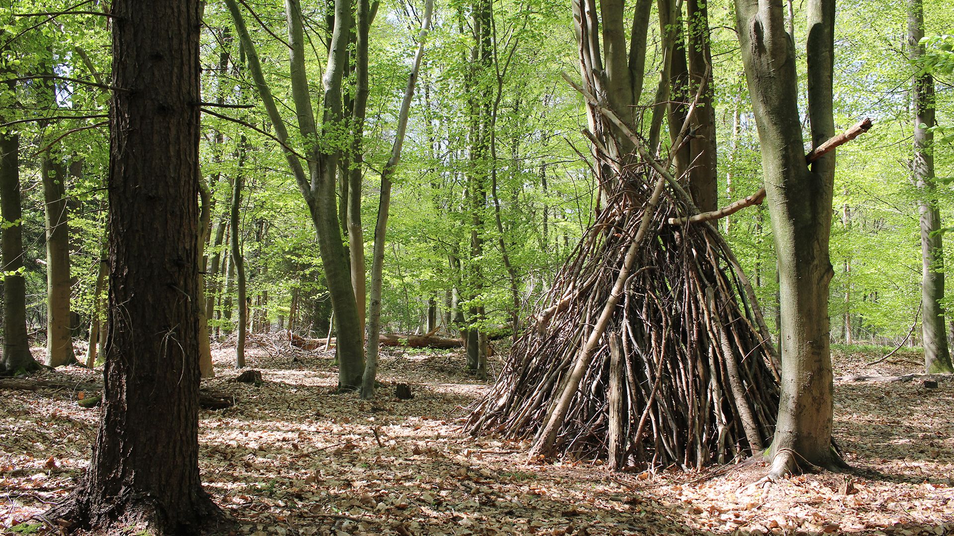 Ideen Ausflug Mit Kindern In Den Wald VILSA Magazin ideen-ausflug-mit-kindern-in-den-wald-vilsa-magazin