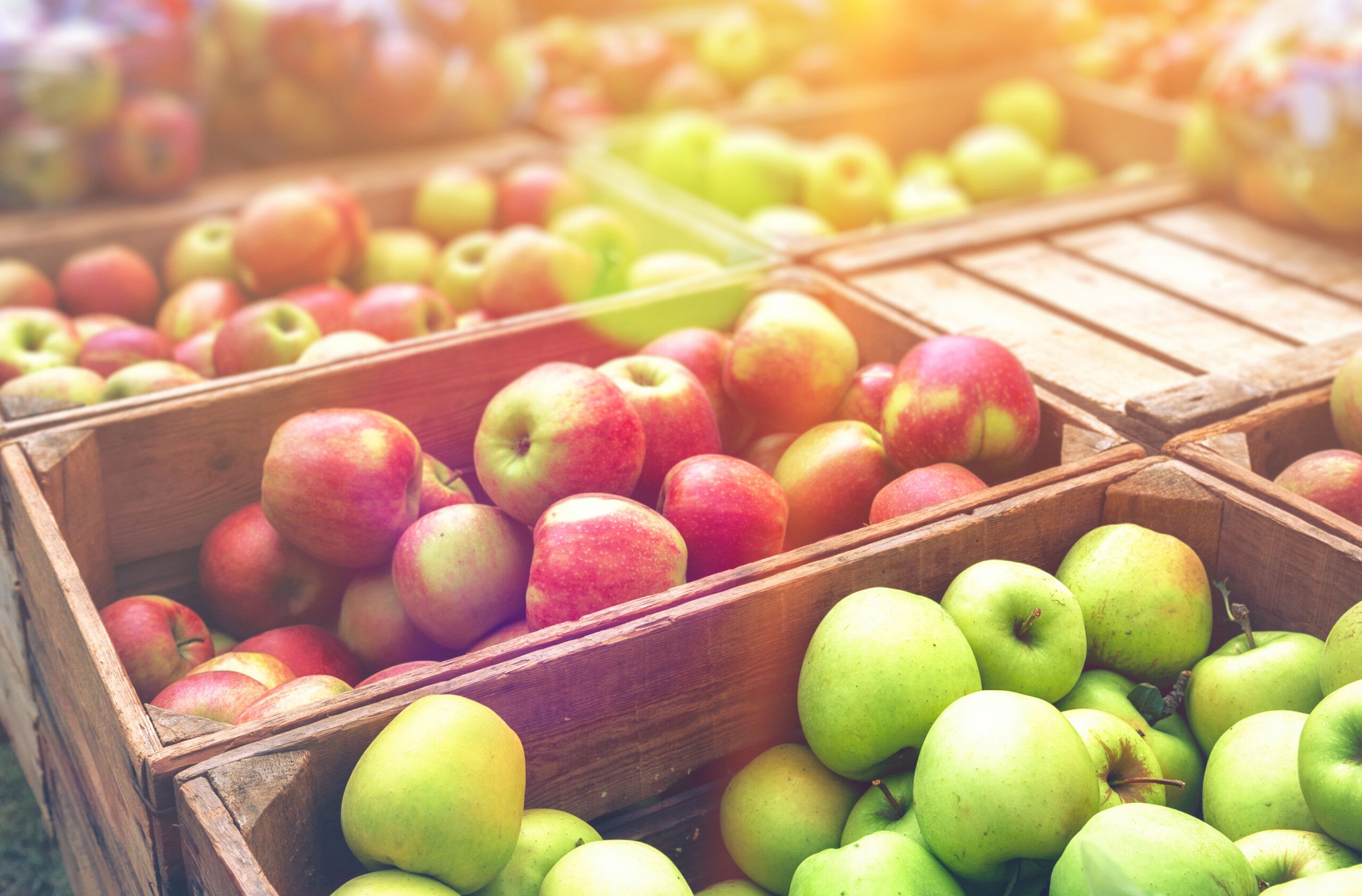 Apfelschorle: Was du wissen musst | VILSA Glossar