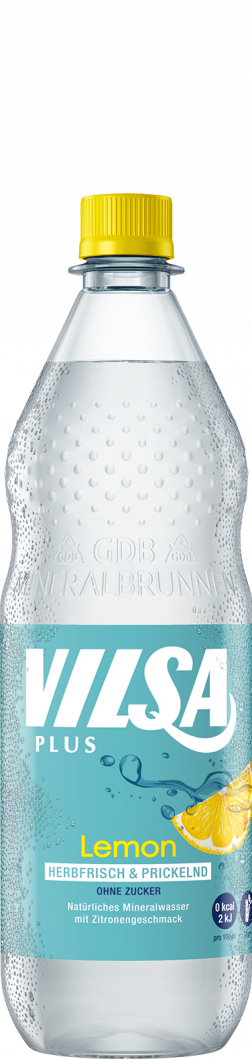 VILSA Mineralwasser: natürlich-reines Naturprodukt | VILSA