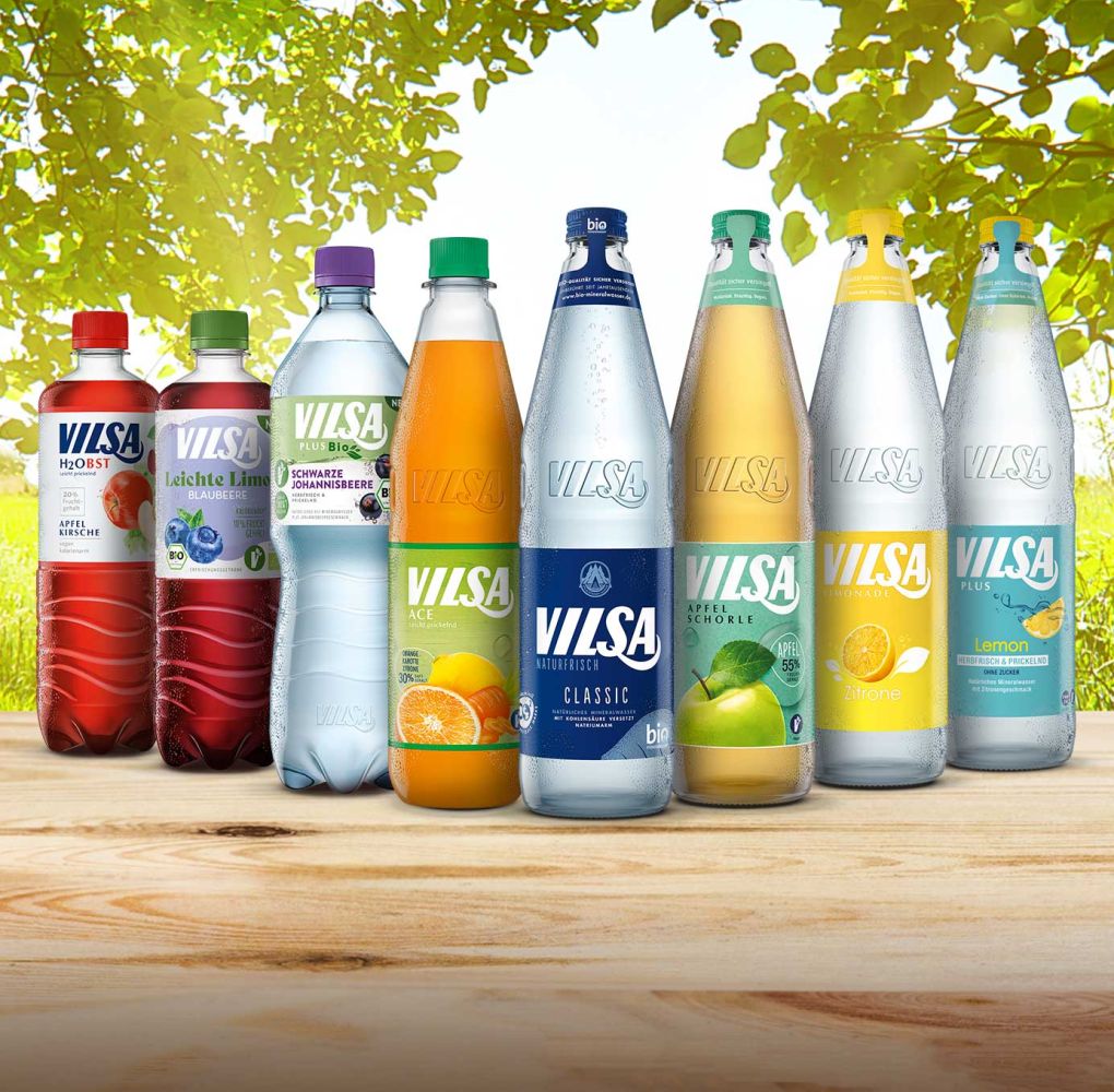Unser Unternehmen: ein Überblick für dich | VILSA