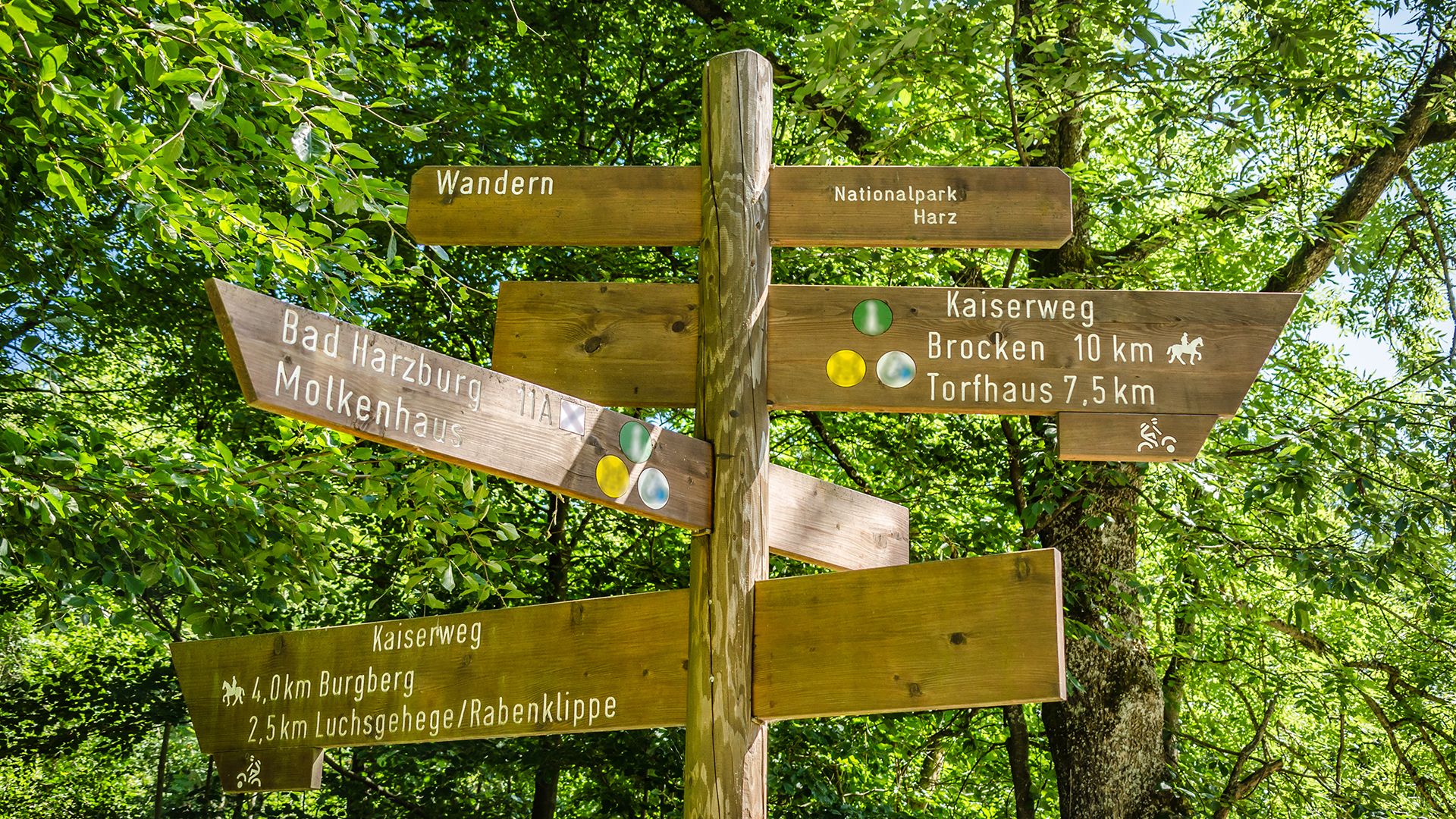 Ausflug in die Natur: Lieblingsorte | VILSA Magazin