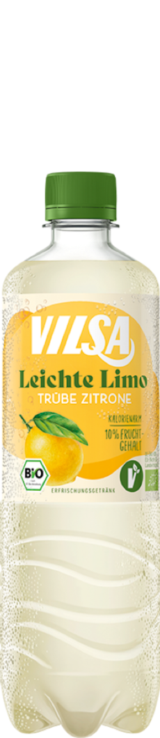 VILSA Leichte Bio Limo Blaubeere | VILSA