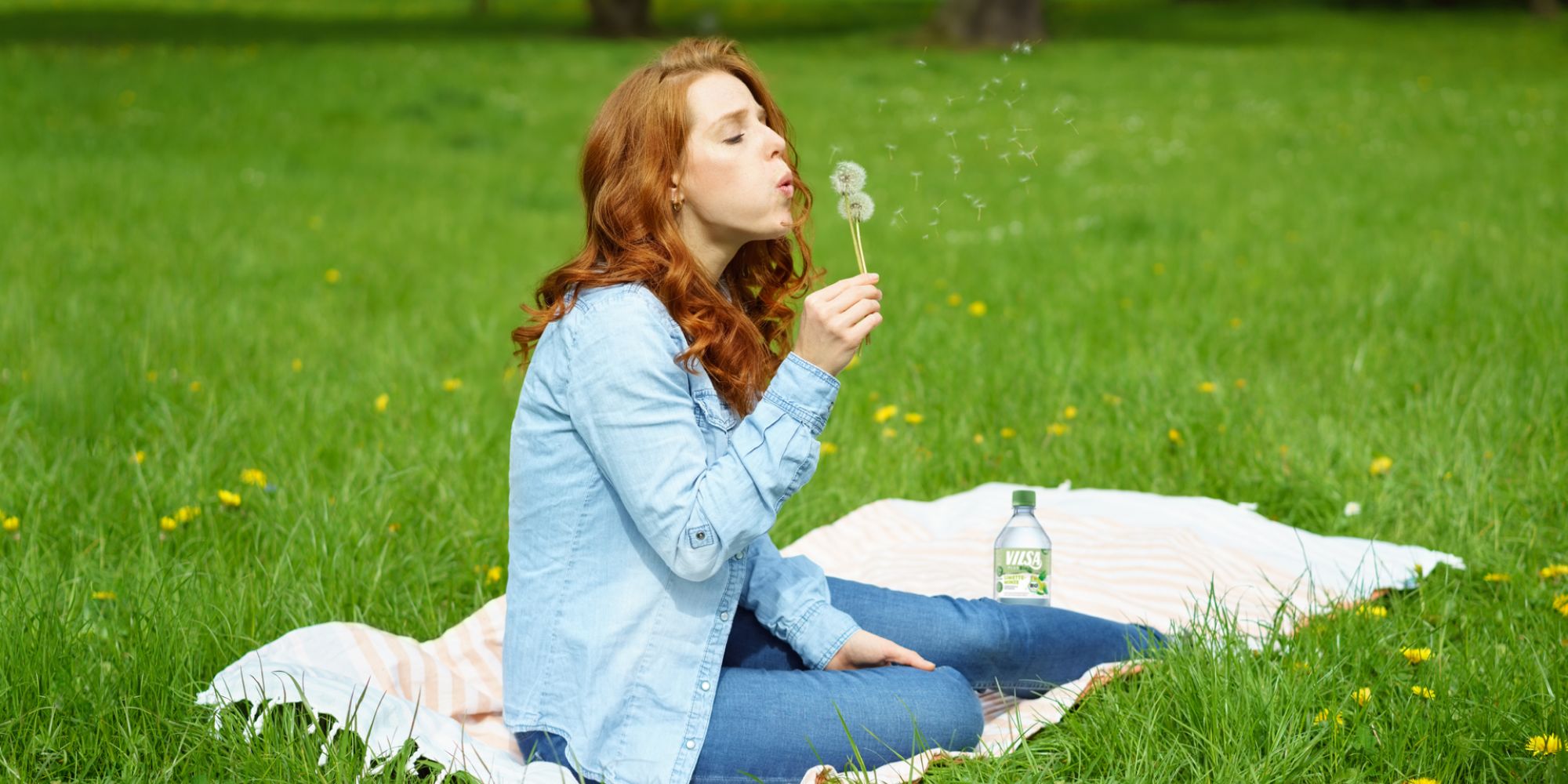 VILSA PLUS Bio Limette-Minze | VILSA