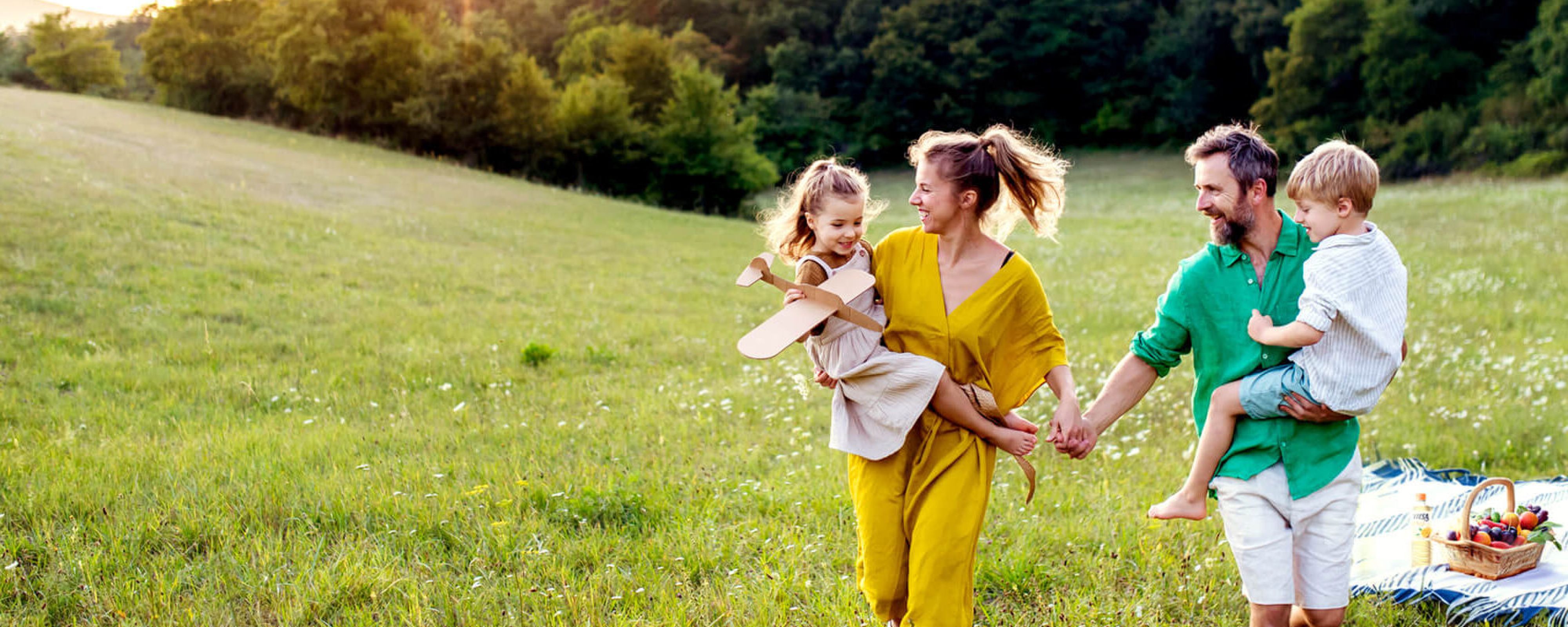 VILSA H2Obst Apfel-Quitte-Zitrone: erfrischend fruchtig | VILSA