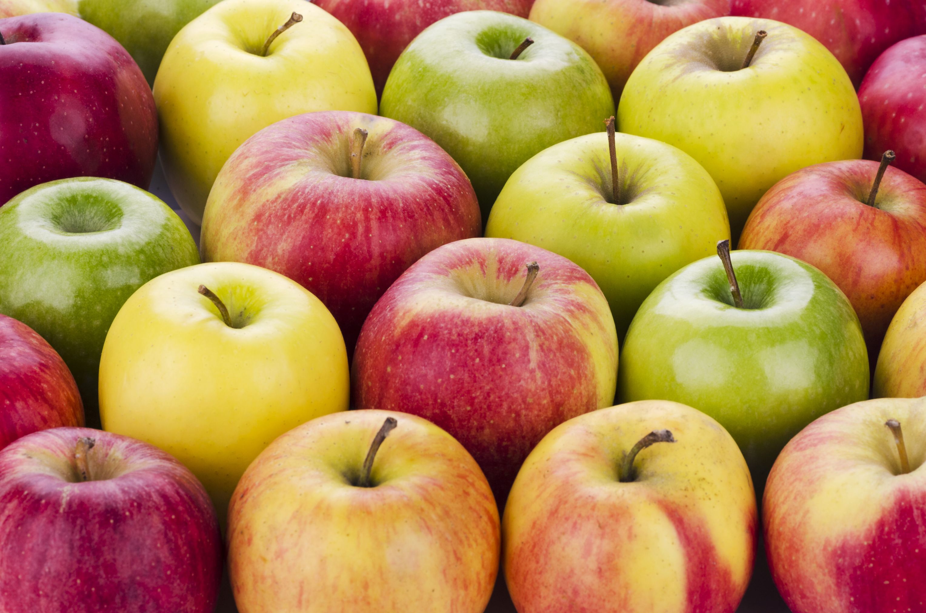 Apfelsorten im Überblick - Diese Sorten gibt es | VILSA