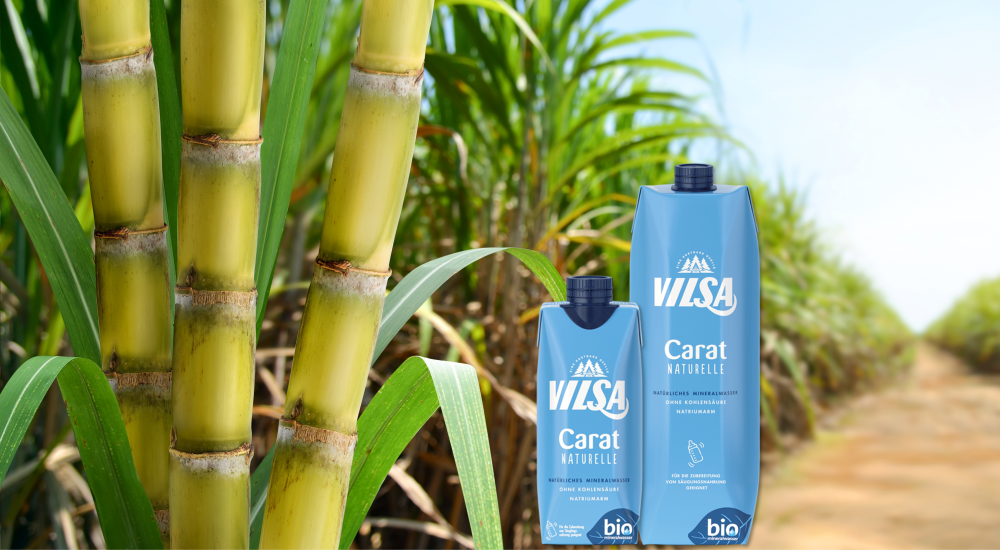 VILSA Mineralwasser classic mit Kohlensäure | VILSA