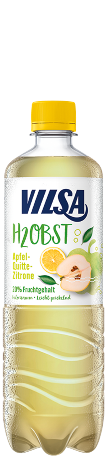 VILSA Mineralwasser classic mit Kohlensäure | VILSA