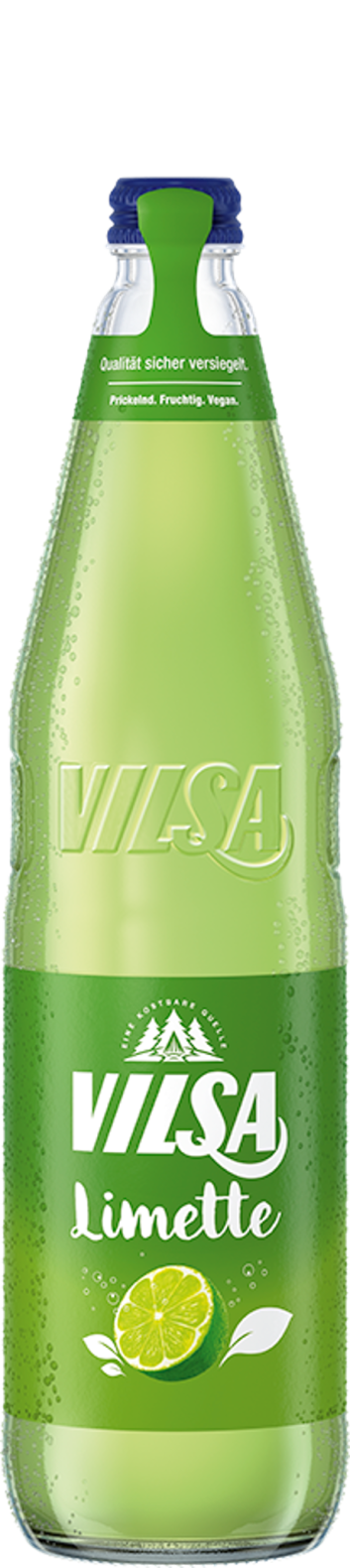 VILSA Mineralwasser classic mit Kohlensäure | VILSA